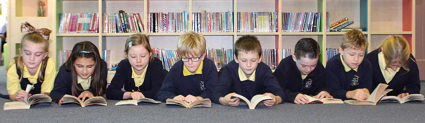 Welcome to DCAT - Diocese of Chichester Academy Trust